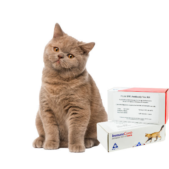 Kit de teste para doenças infecciosas - ImmunoComb - Biogal – Galed ...