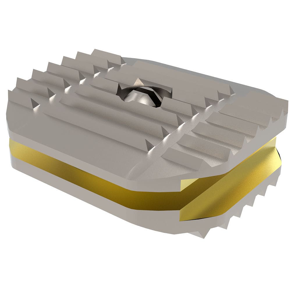 Prótese de disco cervical - D-Pro - NORMMED Medical Devices