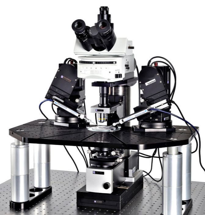 Microscópio óptico - Scientifica SliceScope Pro 2000 - Scientifica ...