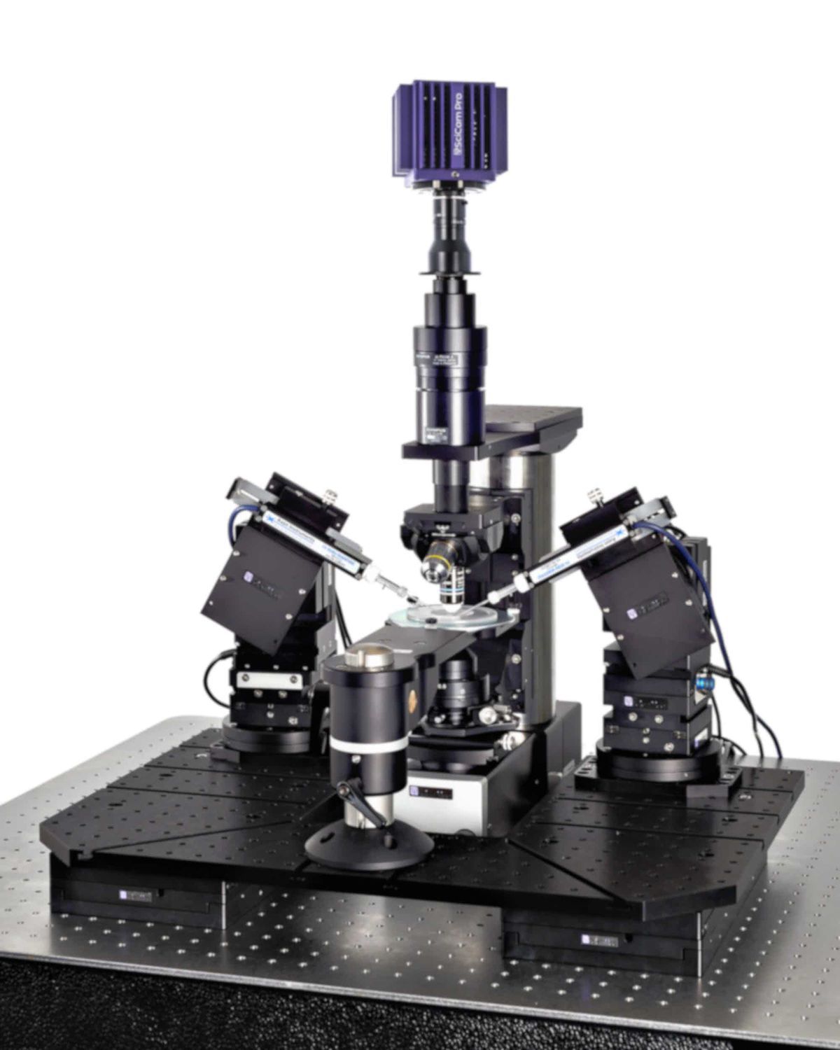 Microscópio óptico - SliceScope Pro 6000 - Scientifica - de laboratório ...