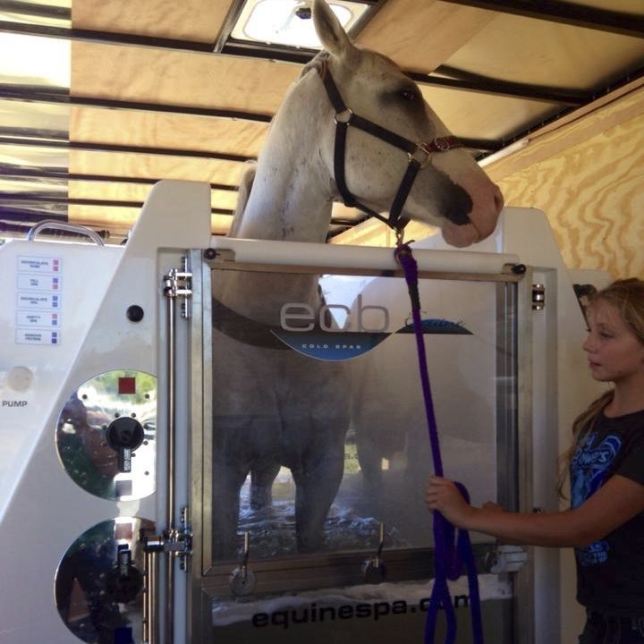 Spa animal para equídeos - MOBILE - ECB Equine Spa