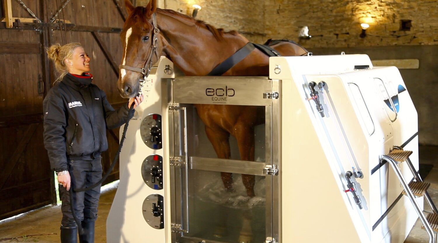 Spa animal para equídeos - ECB Equine Spa