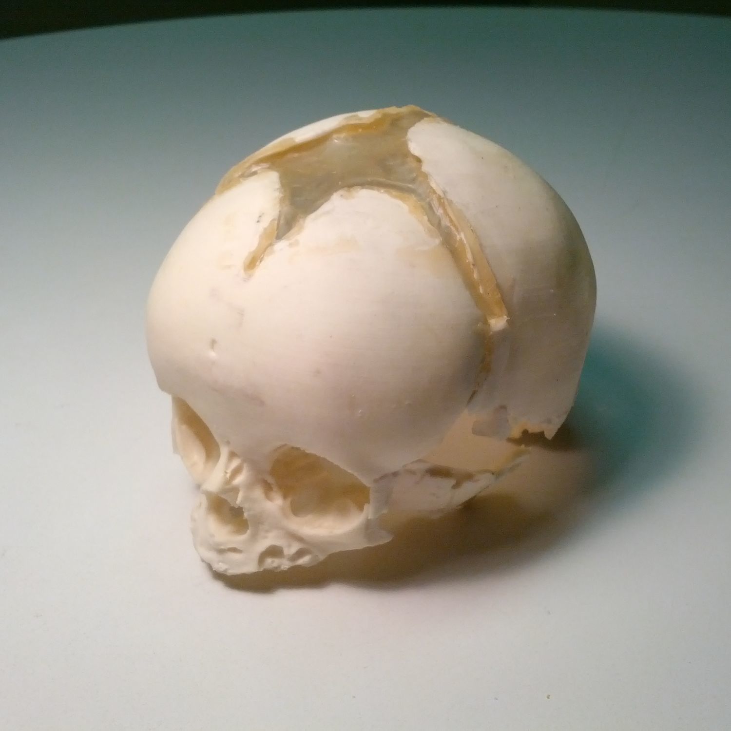 Fantoma para ecografia - SL-N01 - True Phantom Solutions - para radiografia / para tomografia ...