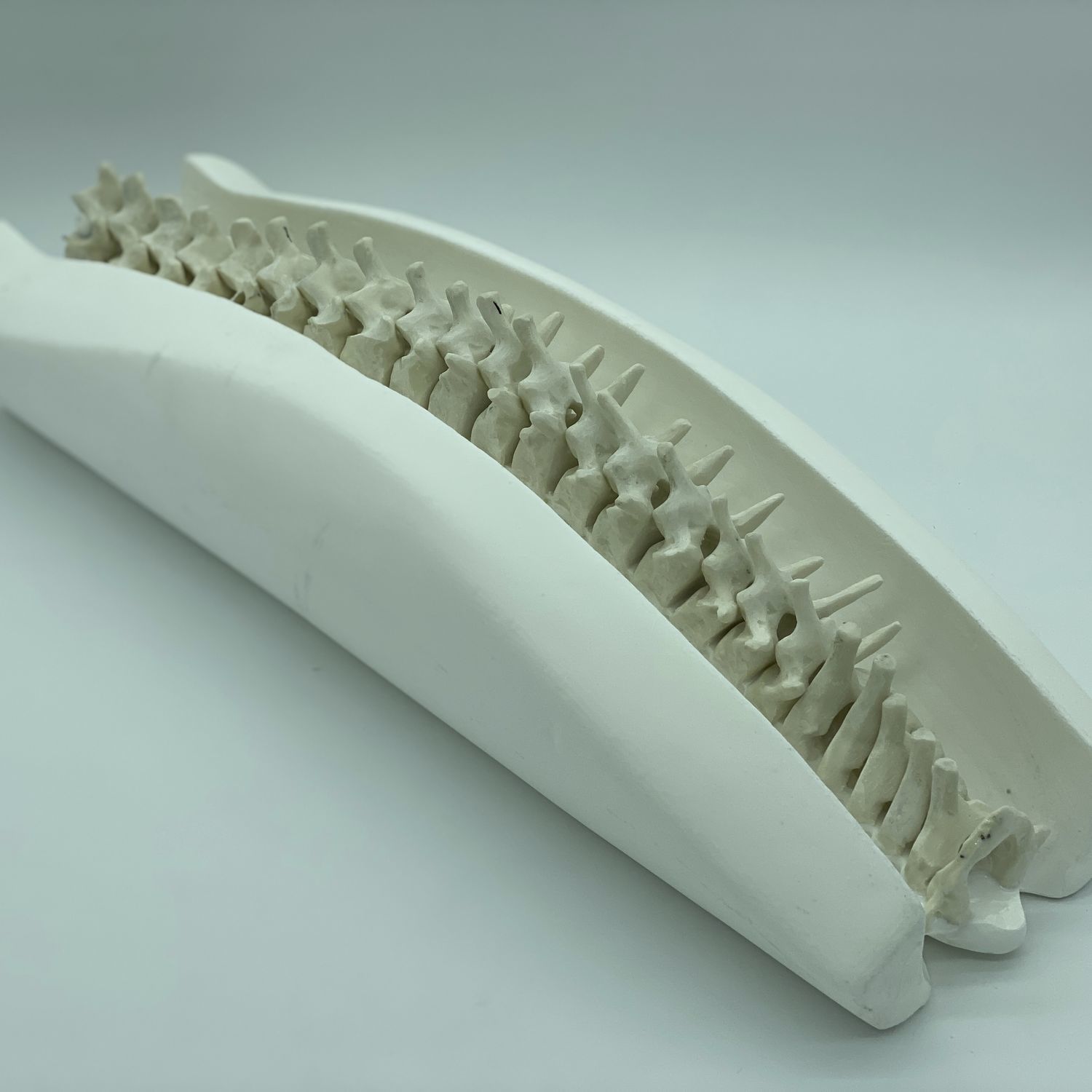 Fantoma para radiografia - SE-A03 - True Phantom Solutions - para ...