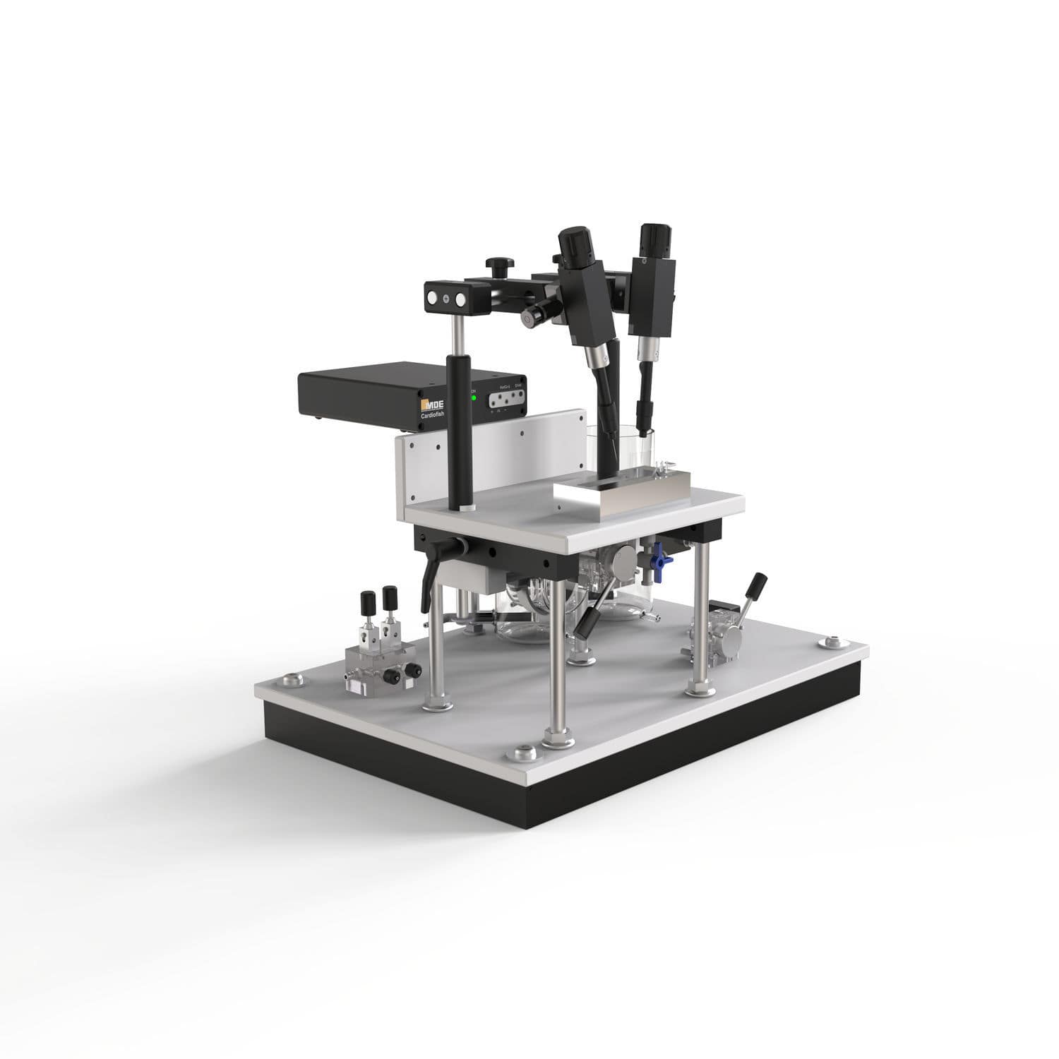 Sistema de perfusão de órgãos de coração - Zebrafish Gill Perfusion ...