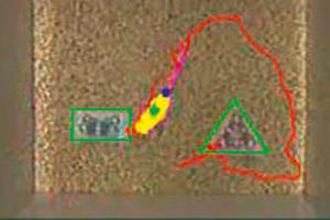 Software com sistema de acompanhamento - EthoVision® XT - Noldus - para pesquisa / de laboratório