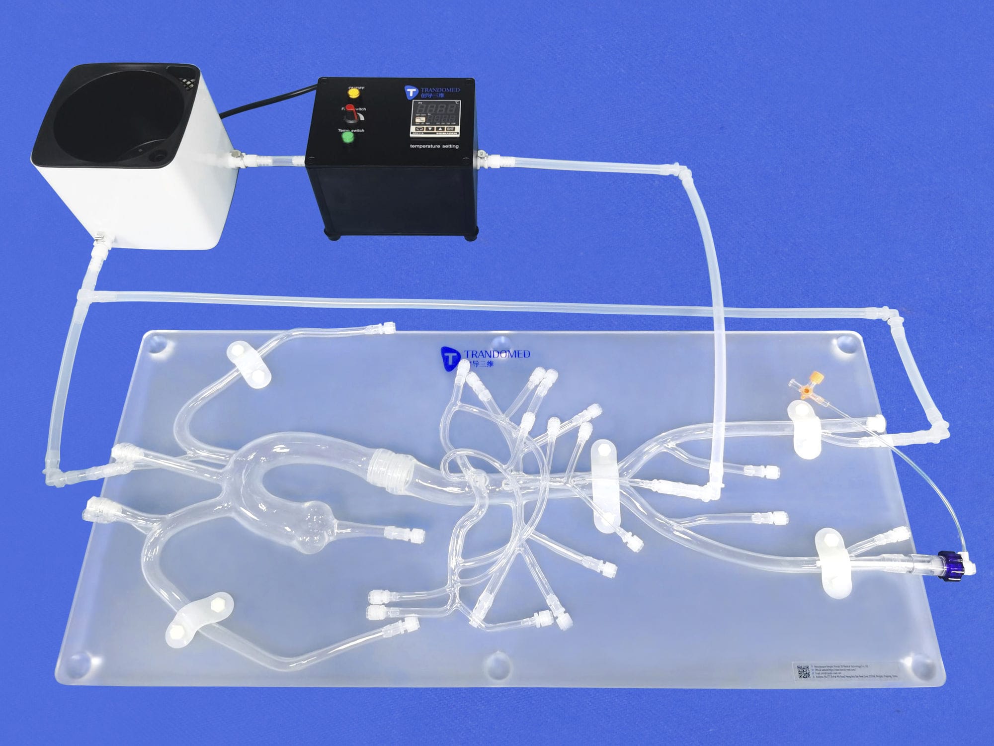 Modelo anatômico abdominal - FBD006 - Trando 3D Medical Technology ...