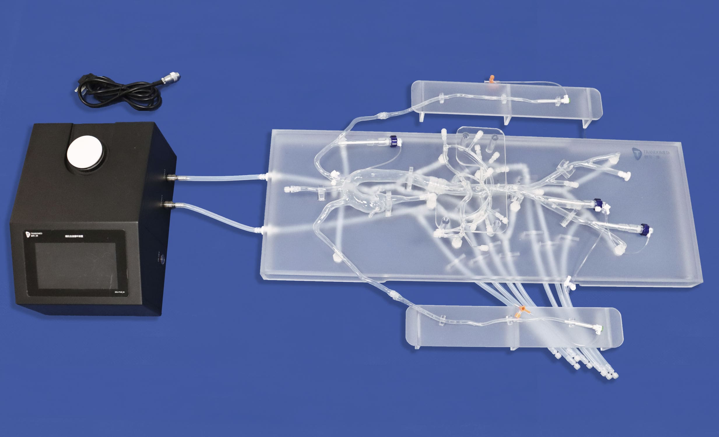 Modelo vascular de artéria femoral - FBD024 - Trando 3D Medical ...
