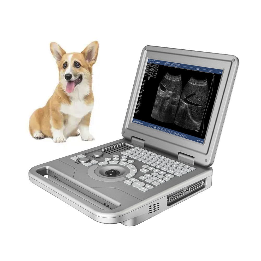 Ultrassom veterinário portátil - FTL-UTS30 - Fatali Medical - multiuso / para animais de pequeno ...
