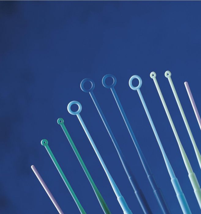 Alça de inoculação de laboratório - OPS1D1 - LABELIANS SAS