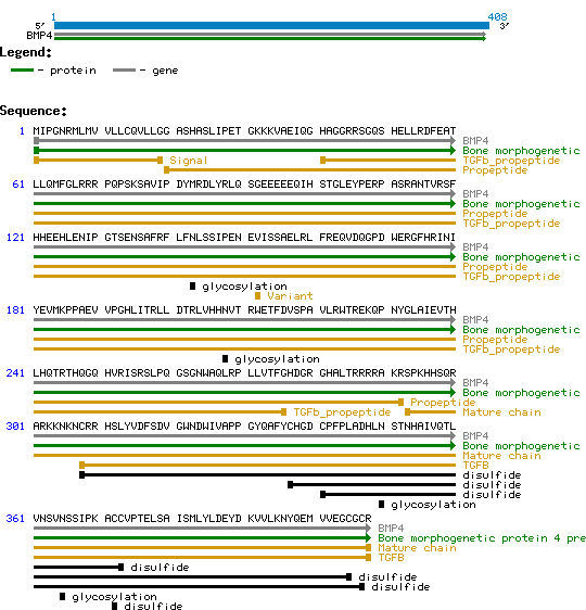 Reagente fator de crescimento - PR27024 - Neuromics - para pesquisa ...