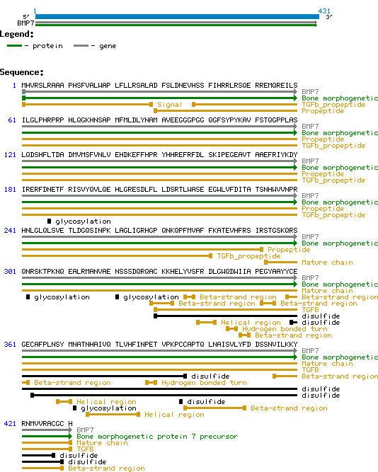 Reagente fator de crescimento - PR27026 - Neuromics - para pesquisa ...