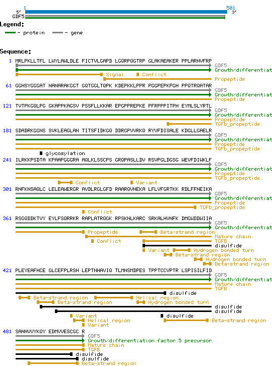 Reagente fator de crescimento - PR27028 - Neuromics - para pesquisa ...