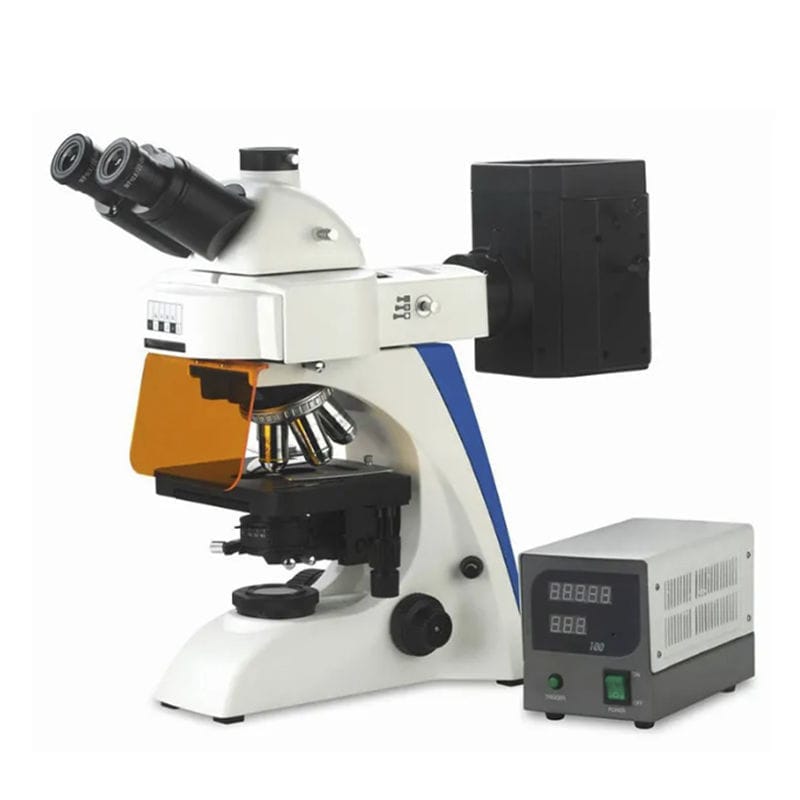 Microscópio óptico - YSXWJ-FL2 - YSENMED - de laboratório / vertical ...