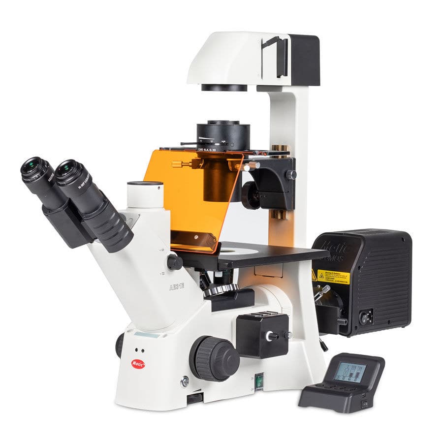 Microscópio de fluorescência LED - AE31E - Motic Europe - óptico / de ...