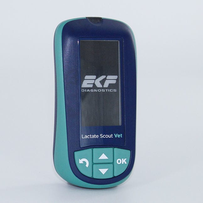 Analisador de lactato portátil - Lactate Scout Vet - EKF Diagnostics