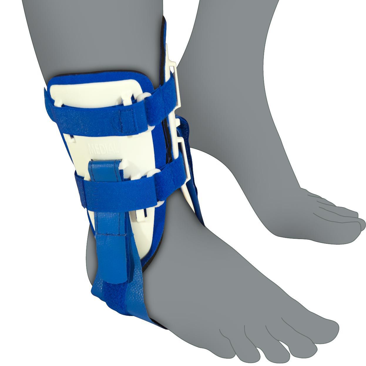 Tala para tornozelo - P.08 series - Phyto Performance Italia - L