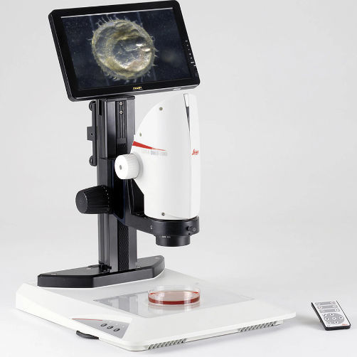 Microscópio digital - DMS1000 B - Leica Microsystems - de laboratório ...