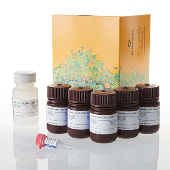 Kit de reagentes corante - QuantiFluor® ONE - Promega France - para ...