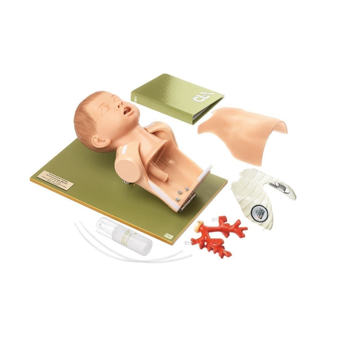 Manequim de treinamento para cuidados gerais de saúde - Broncho Junior ...