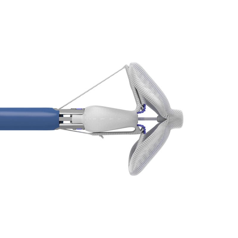 Sistema de reparação cardíaca de válvula mitral - PASCAL - Edwards ...