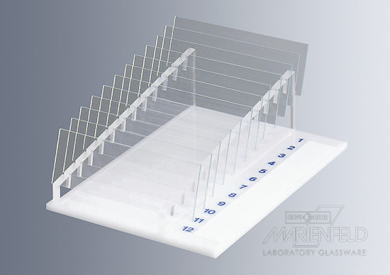 Suporte de laboratório para lâminas de microscópio - 5680007 - Paul ...