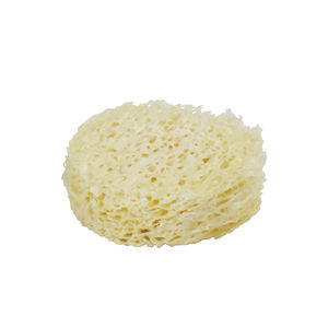 Aloenxerto ósseo - 71810 - Bone Bank Allografts - para cirurgia ...