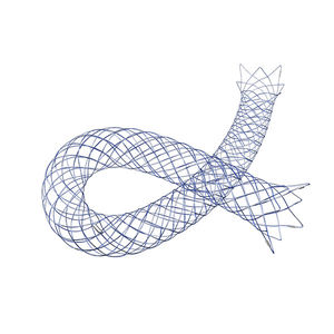 Stent intracraniano - Todos os fabricantes de equipamentos médicos