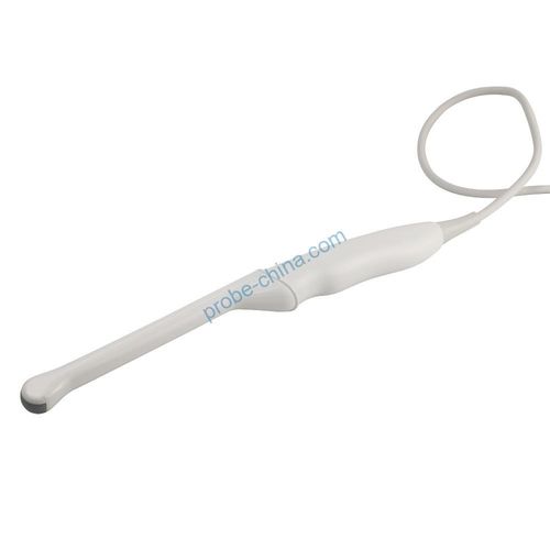 Transdutor de ultrassom endocavitário - Shenzhen Shenchao Transducer