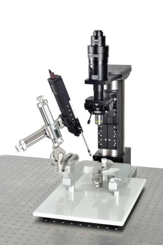 Micromanipulador motorizado - IVM Single - Scientifica