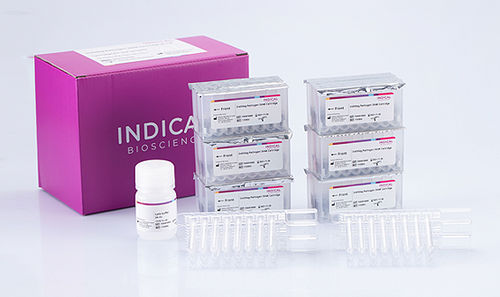 Kit de reagentes de esferas magnéticas - IndiMag - INDICAL BIOSCIENCE ...