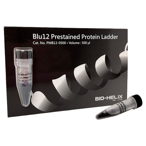 Reagente marcador de peso molecular de proteínas - Blu12 - Bio-Helix - para western blot / de ...