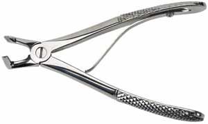 Fórceps odontológico para felinos - D1019 - iM3 - para cães